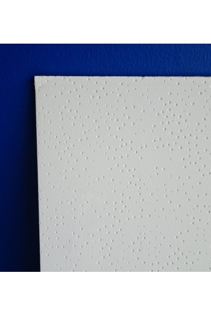 2X4X8MM CEILING BOARD / PIN HOLE