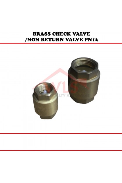 BRASS CHECK VALVE/NON RETURN VALVE PN12